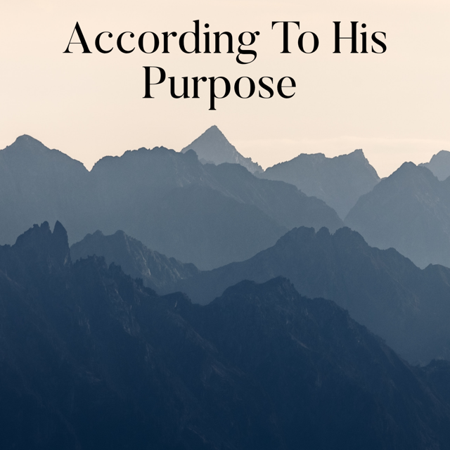 According To His Purpose – Hope Harbor Church