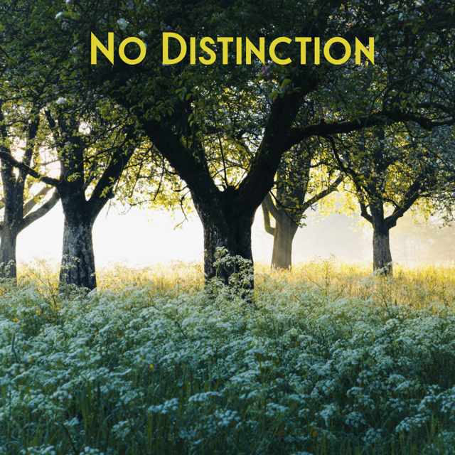 No Distinction – Hope Harbor Church